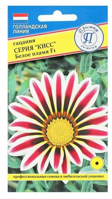 Семена цветов Гацания «Кисс» F1 Белое пламя, для балкона, веранды, цветника, однолетник, низкорослая, 5 шт.