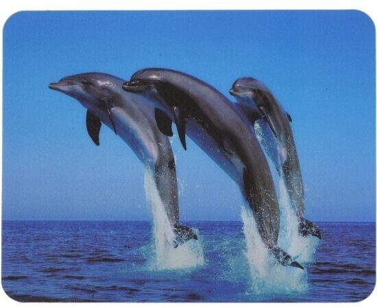 Коврик для мыши Buro BU-M40083 рисунок/дельфины