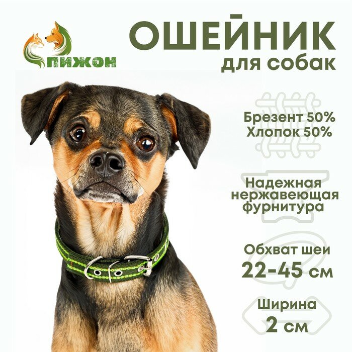 Ошейник брезентовый двухслойный, безразмерный, 50×2 см, ОШ 22-45 см, хаки, зелёный