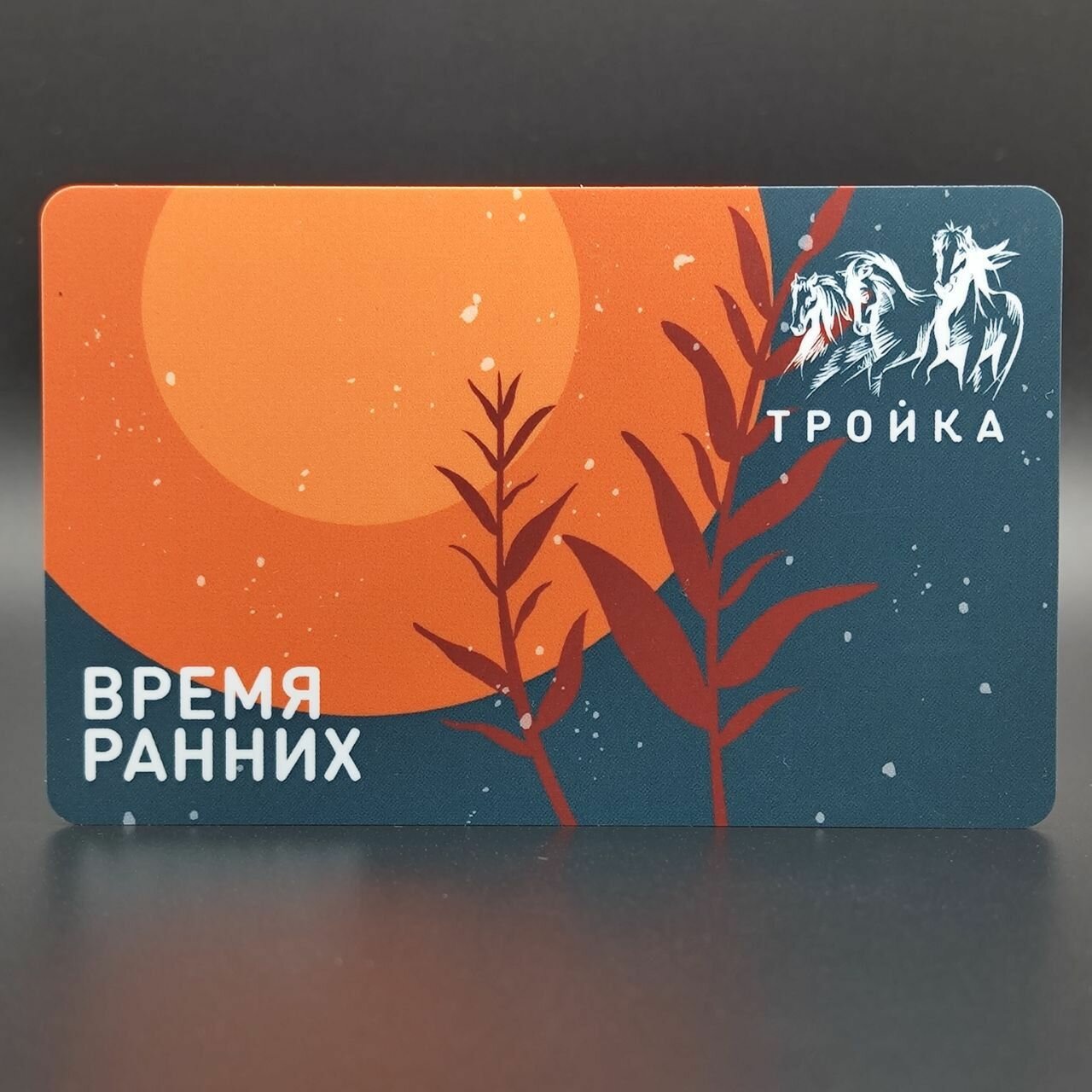 Коллекционная транспортная карта метро Тройка - проект "Время ранних". Закат, сумерки