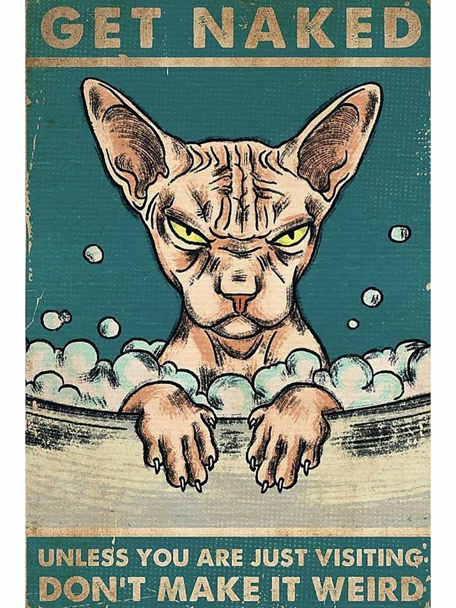 Постер "Серьезный кот"