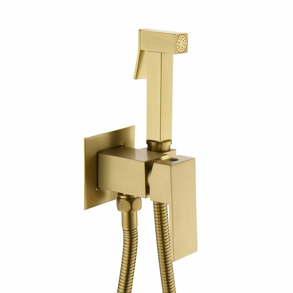 Встраиваемый смеситель для биде с гигиеническим душем, латунь, горячая/холодная вода, матовое золото. E003G