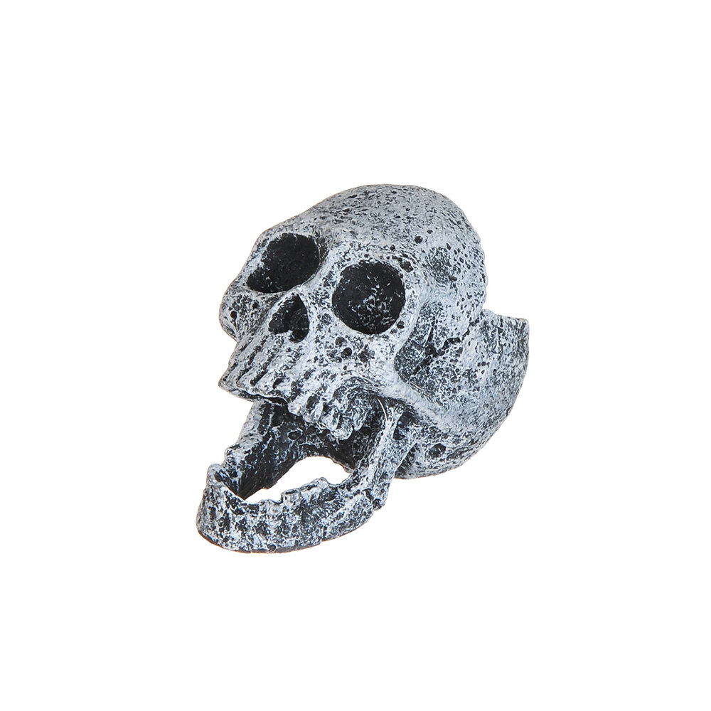 Декорация Prime "Треснувший череп S" 5,5х3х4