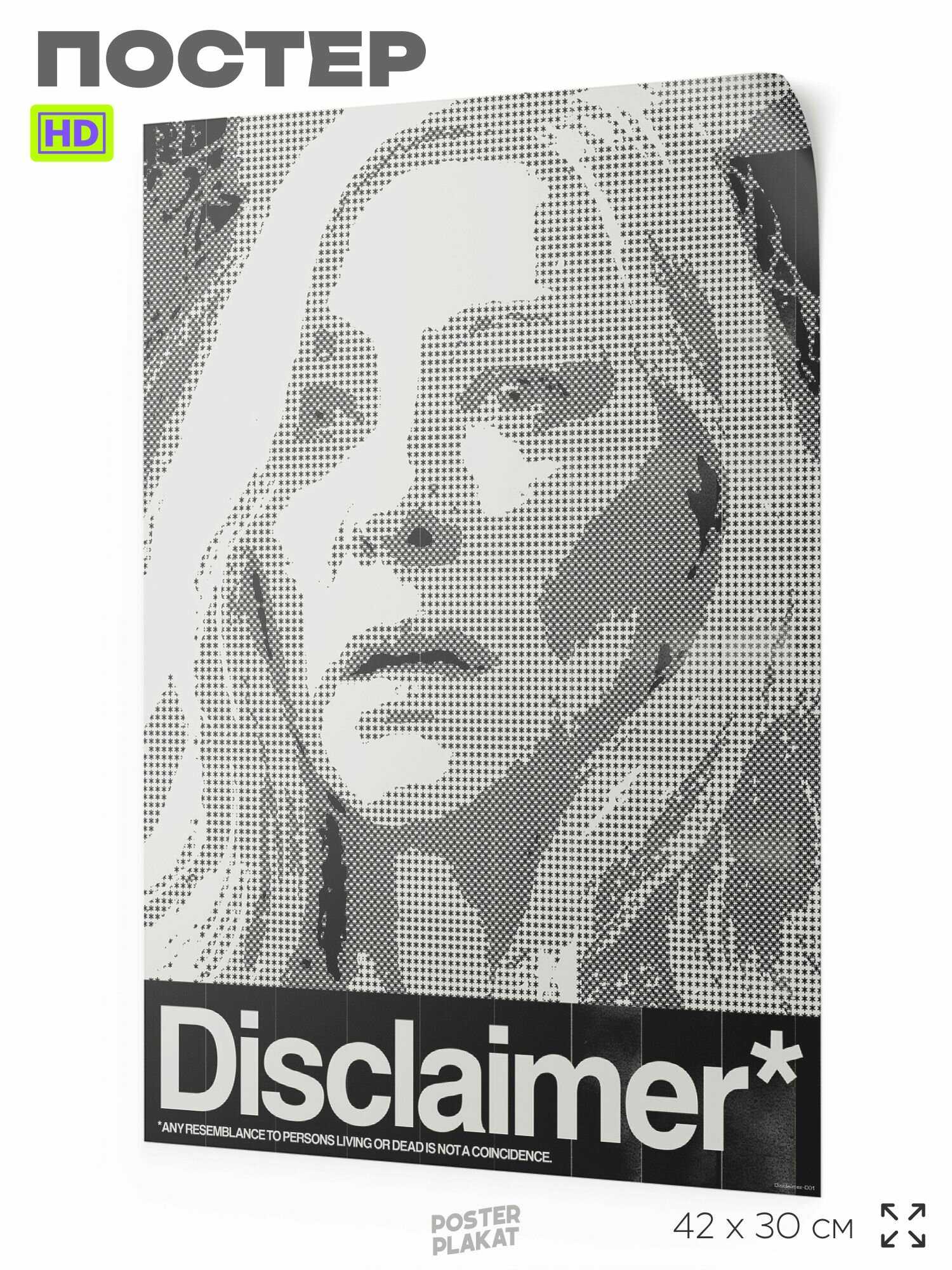 Постер Все совпадения неслучайны / Disclaimer, Лесли Мэнвилл, по мотиву сериала, для интерьера, А3 (420х297 мм), Постер Плакат