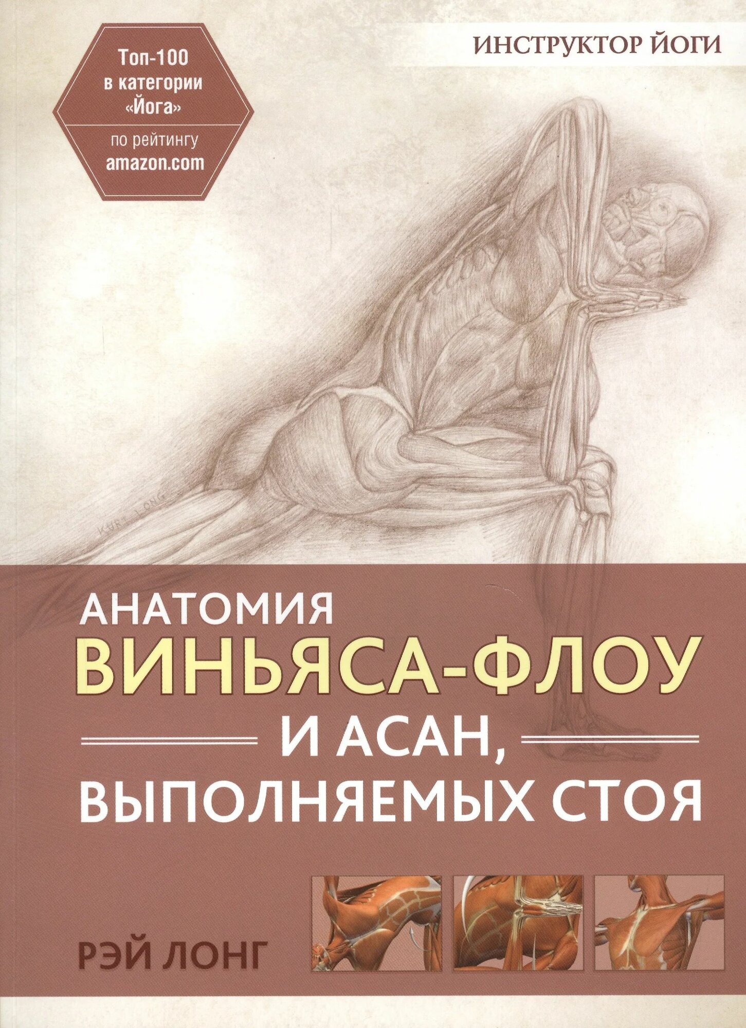 Анатомия виньяса-флоу и асан, выполняемых стоя (мягк.)