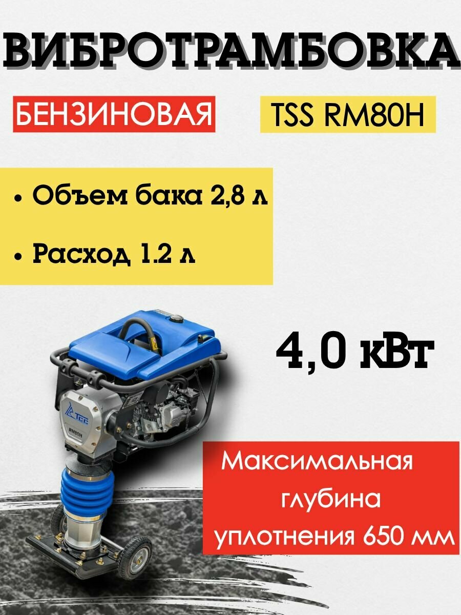 Вибротрамбовка бензиновая TSS RM80H