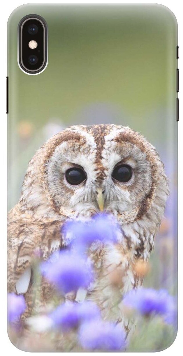 Силиконовый чехол на Apple iPhone XS Max / Эпл Айфон Икс Эс Макс с рисунком "Сова и васильки"