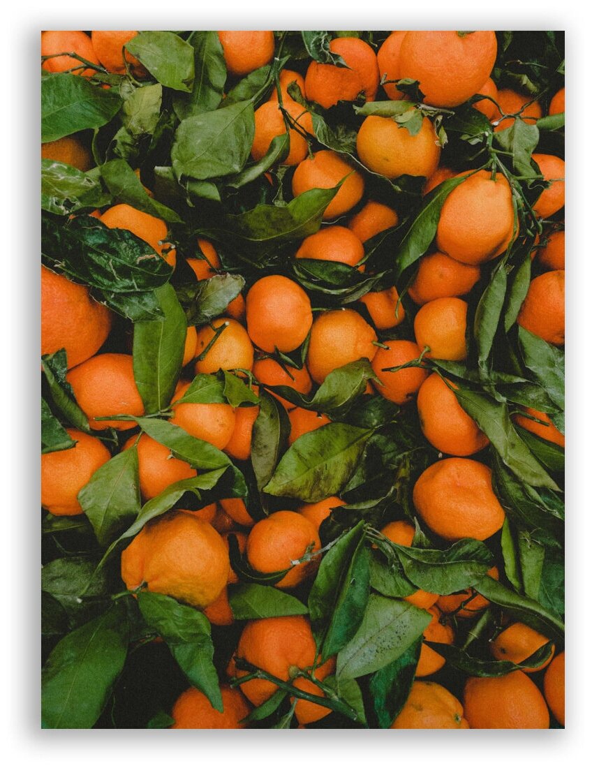 Постер на бумаге / Мандарины