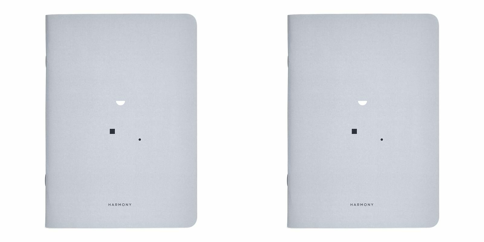 Be Smart Бизнес-тетрадь в клетку Minimalism, серый, А5, 40 листов, 2 шт