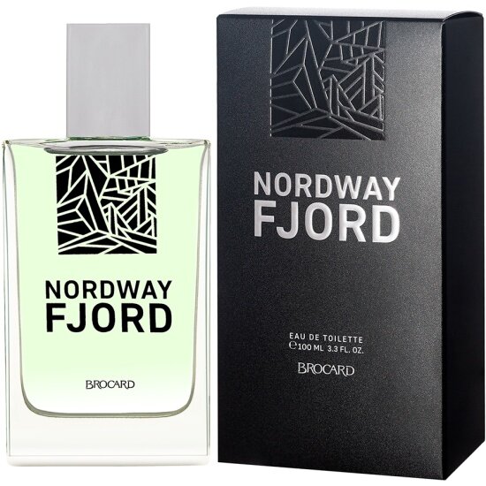 Brocard Мужской Nordway Fjord Туалетная вода (edt) 100мл