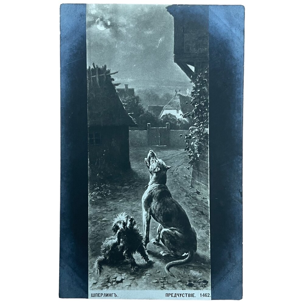 Почтовая открытка "Шперлинг. Предчувствие" 1900-1917 гг. Российская Империя