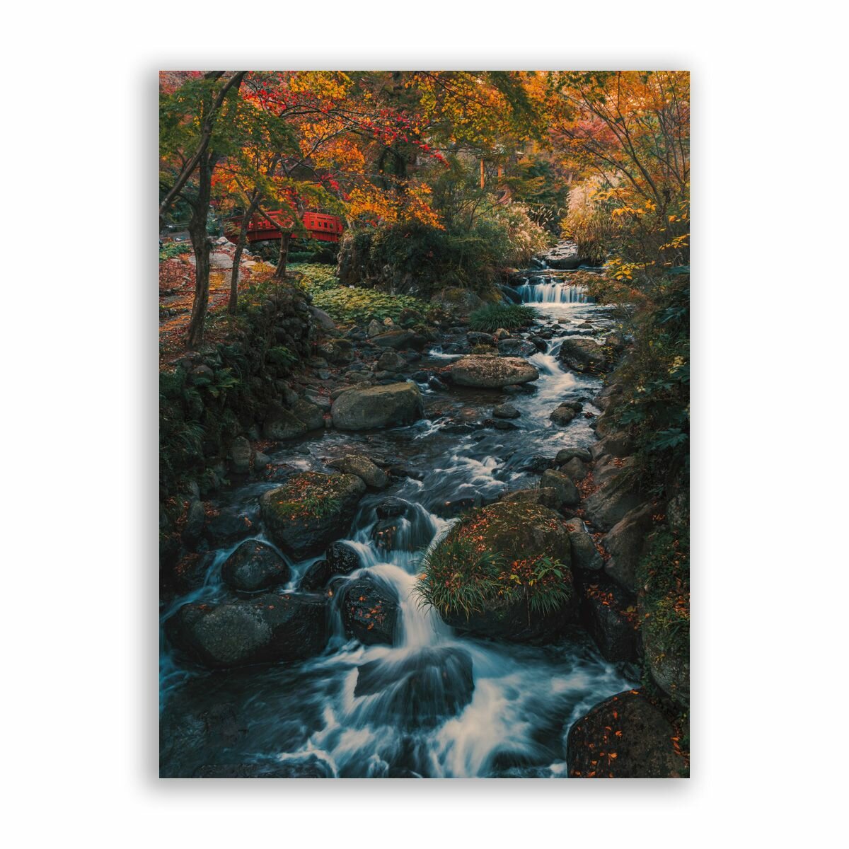 Постер, плакат на бумаге / Природа Японии - Речка / Размер 40 x 53 см