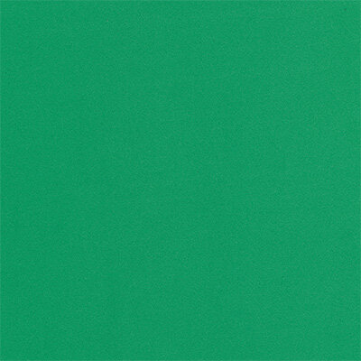 Пластичная замша "Mr.Painter" FOAM-2 2 мм 50 x 50 см ± 3 см 16 зеленый