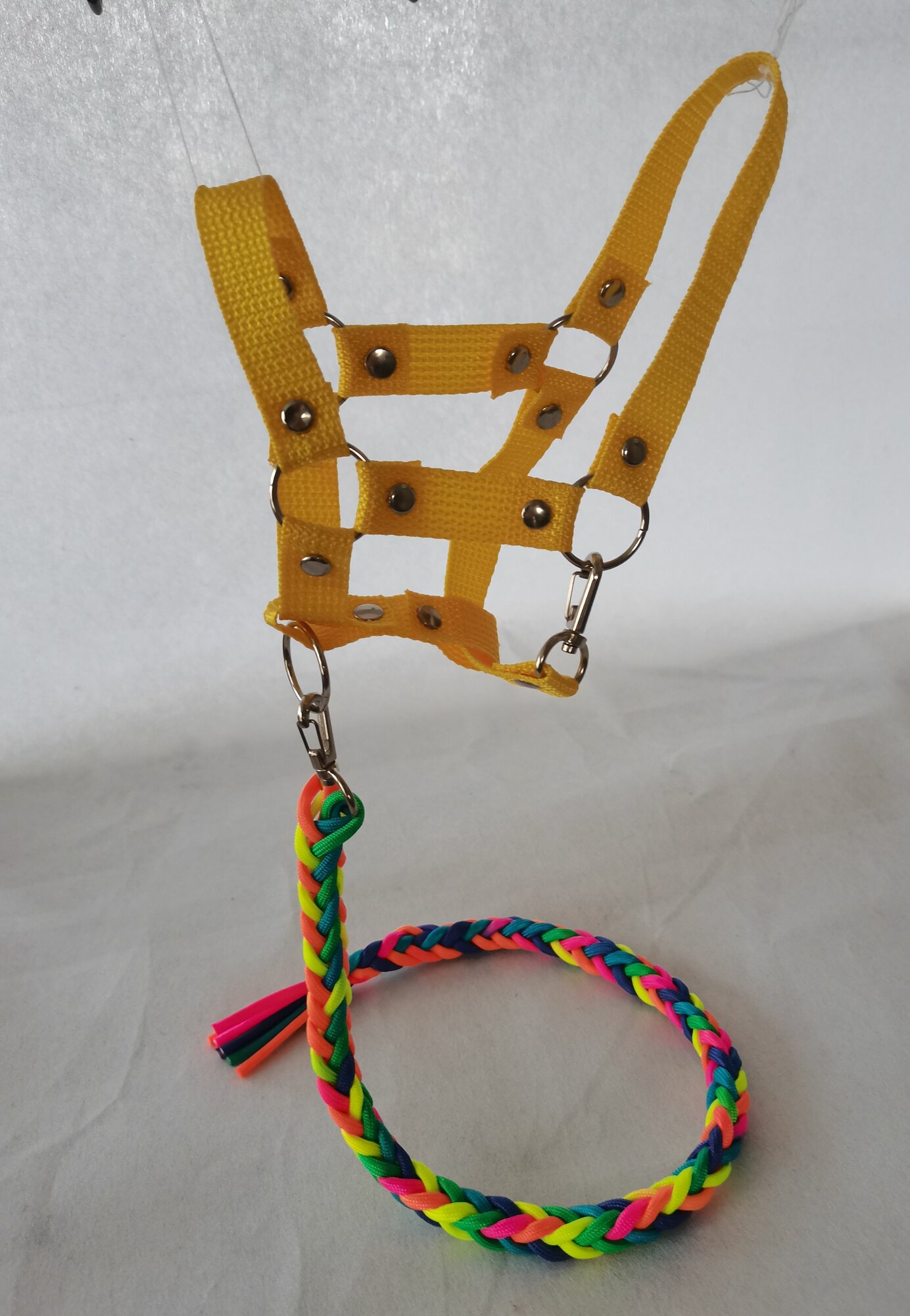 Недоуздок для хоббихорс, с чембуром