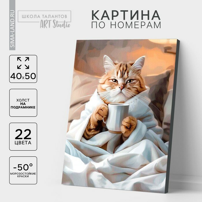 Картина по номерам на холсте с подрамником «Утренний котик», 40 х 50 см, 10524529