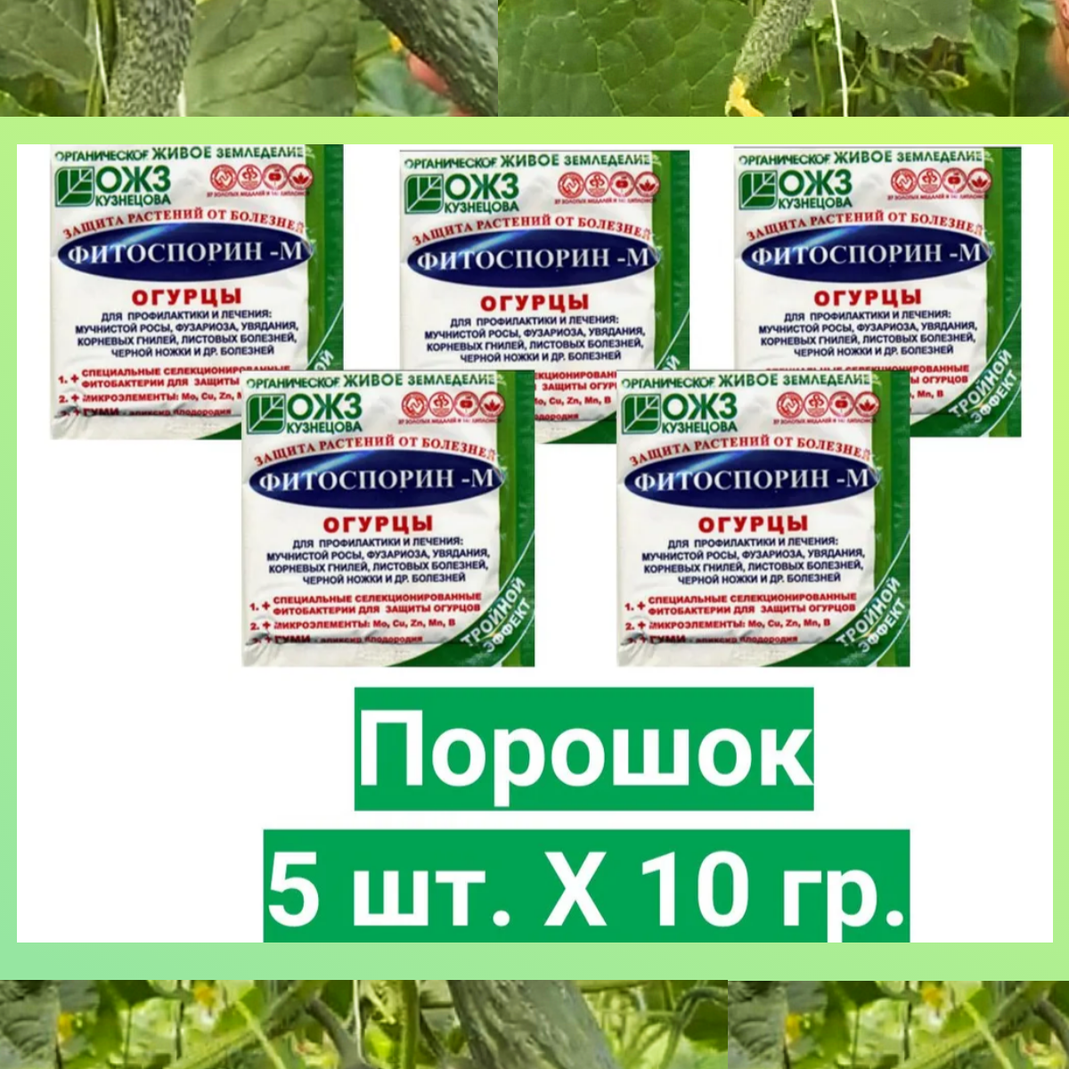 Фитоспорин-М, П , огурцы порошок 10 г, 5 шт