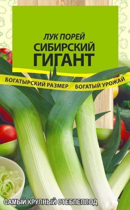 Семена Лук порей сибирский Гигант