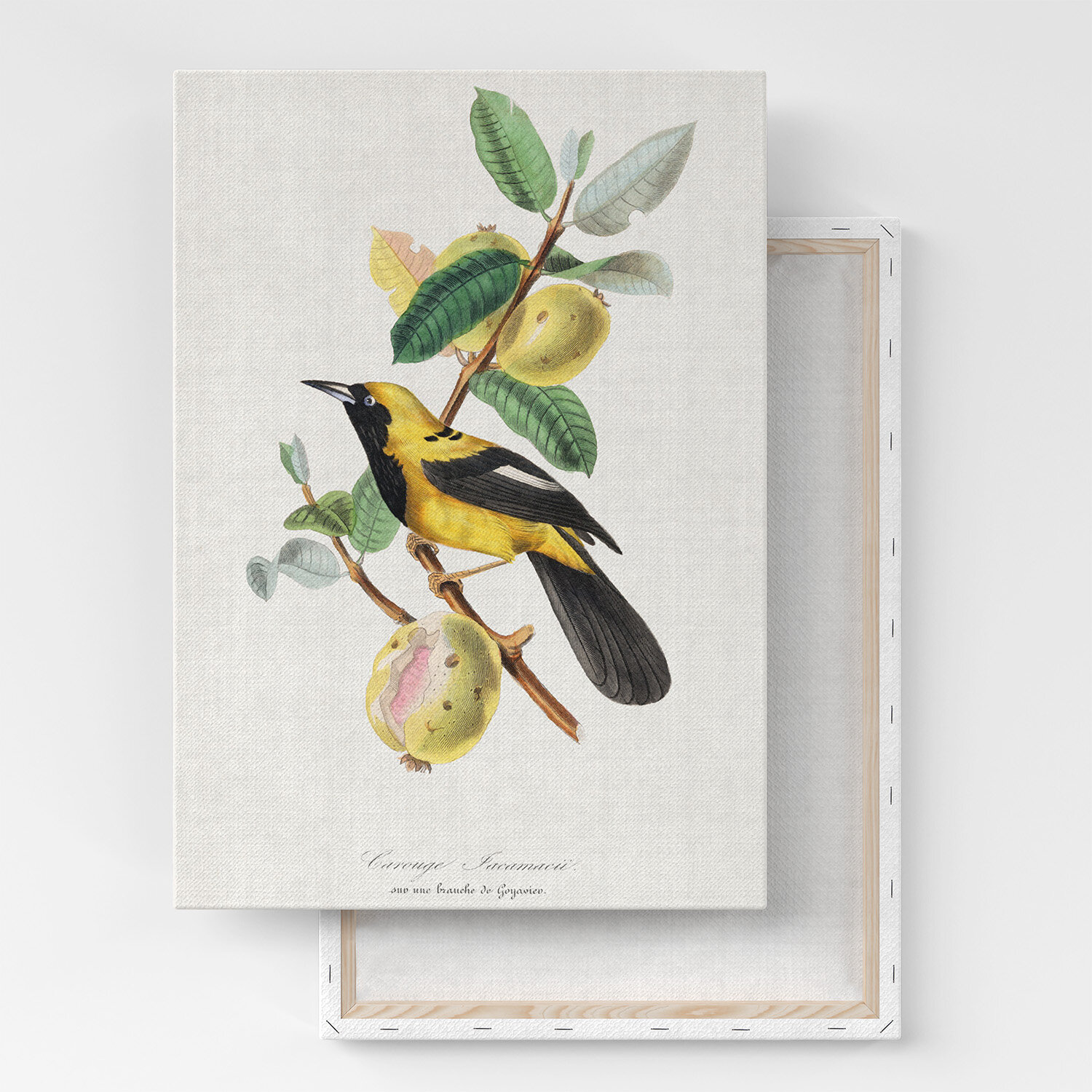 Картина на холсте, репродукция / Le Jardin des Plante / Размер 60 x 80 см