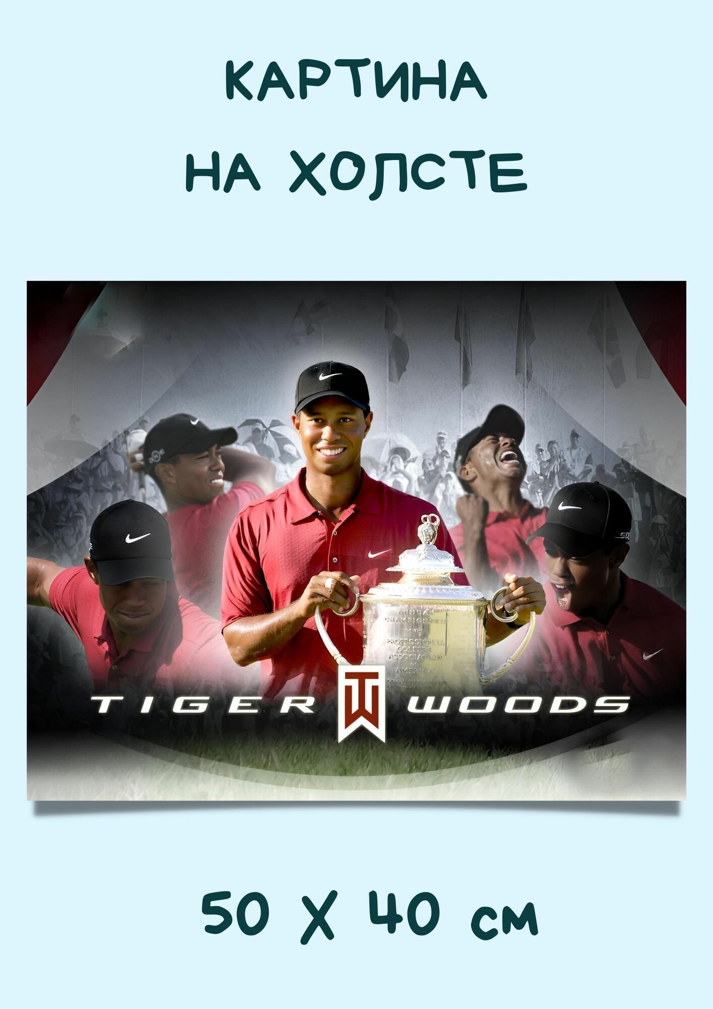 Картина великий игрок в гольф "Тайгер Вудс Tiger Woods" на холсте для интерьера