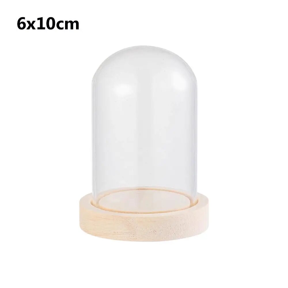 Стеклянный колпак 6x10см с деревянной подставкой