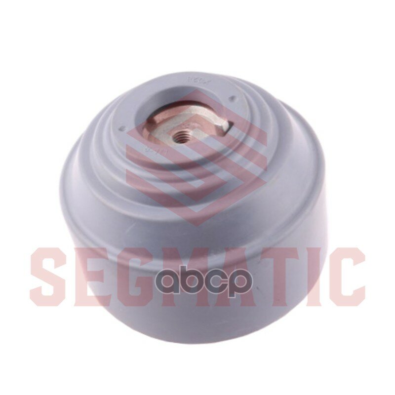 Опора двигателя Mercedes W203_T203 3.2_W220 4.3-6.0_C209_C215 5.0-5.5 98- SEGMATIC арт. SG30112146