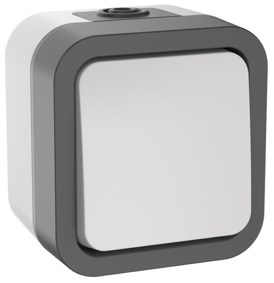 Выключатель IEK / ИЭК TORS TS211 открытой установки, 10А 250В IP55, серо-белый 75х82х60мм, двухполюсный одноклавишный TS-V16-0-10-55-K41 / переключатель