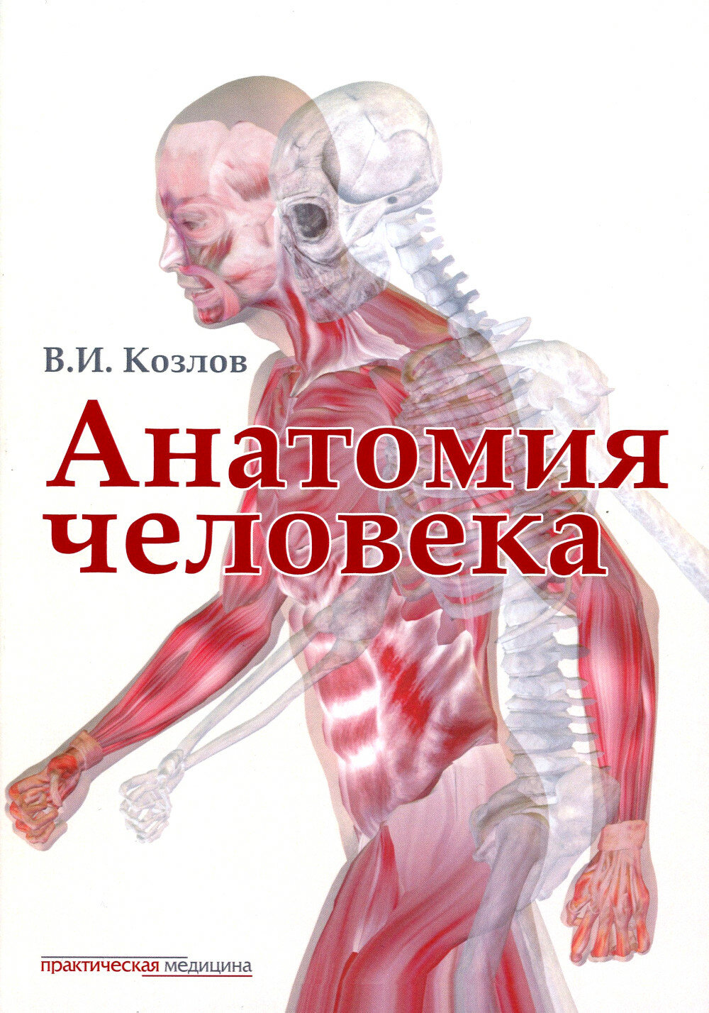 Анатомия человека: Учебник для медицинских вузов. 2-е изд, испр. и доп. Козлов В. И. Практическая медицина