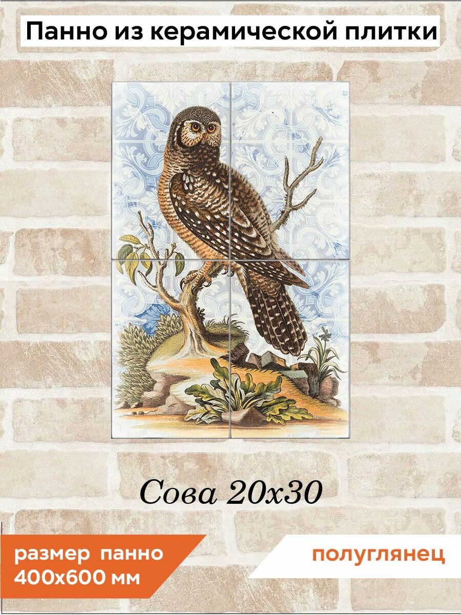 Панно из керамической плитки Сова 20х30