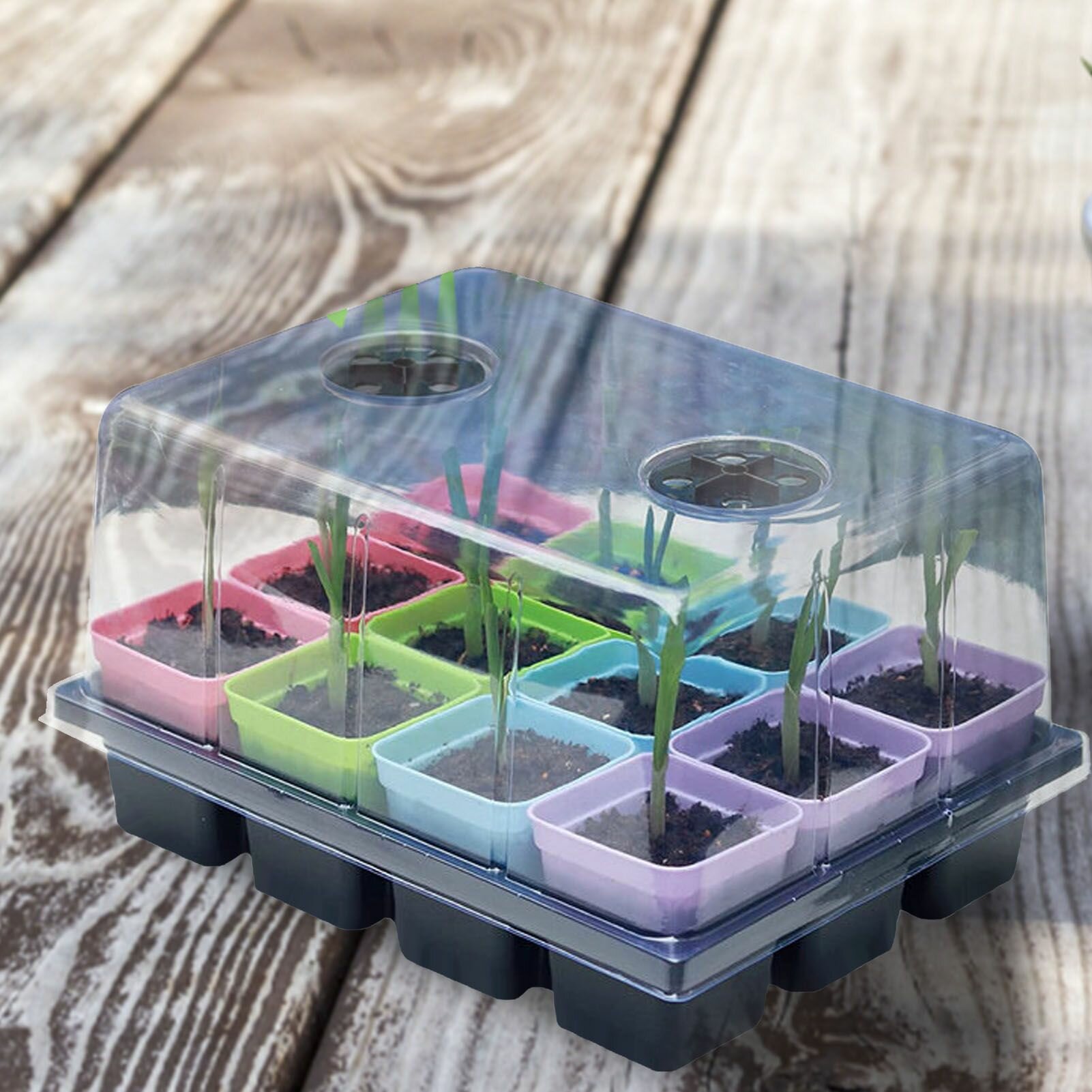 Коробка Роста Семян Лоток Для Начала Саженца