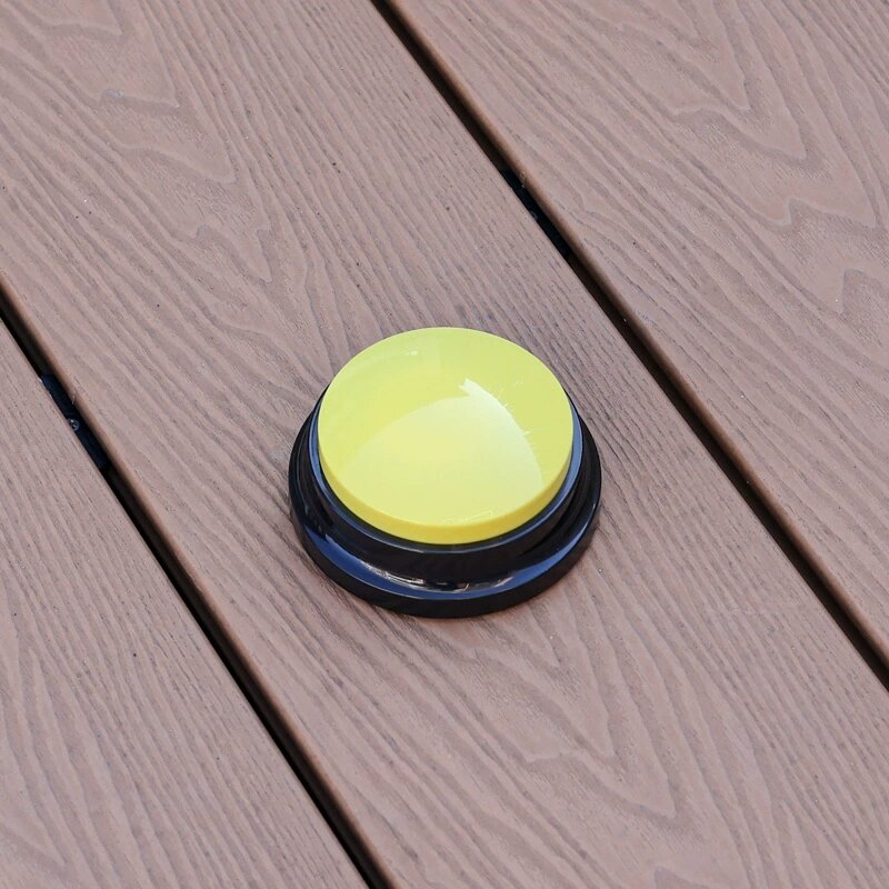 Интерактивная кнопка для обучения речи в детском саду: запись голоса, обучающая игрушка для родителей и детей, кнопка