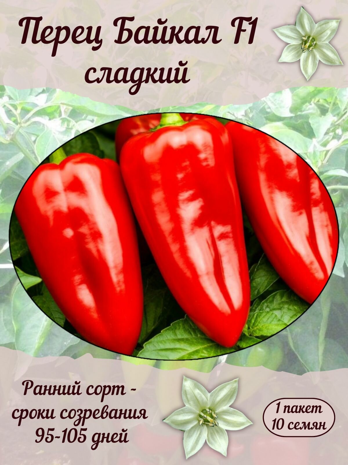 Перец Байкал F1 сладкий, семена, 10 шт, 15 гр.