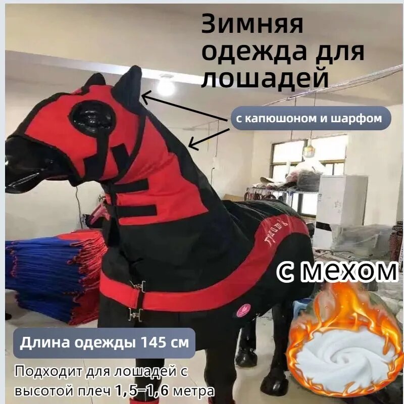 Зимняя одежда для лошадей: усиленная теплоизоляция, водонепроницаемость, морозостойкость