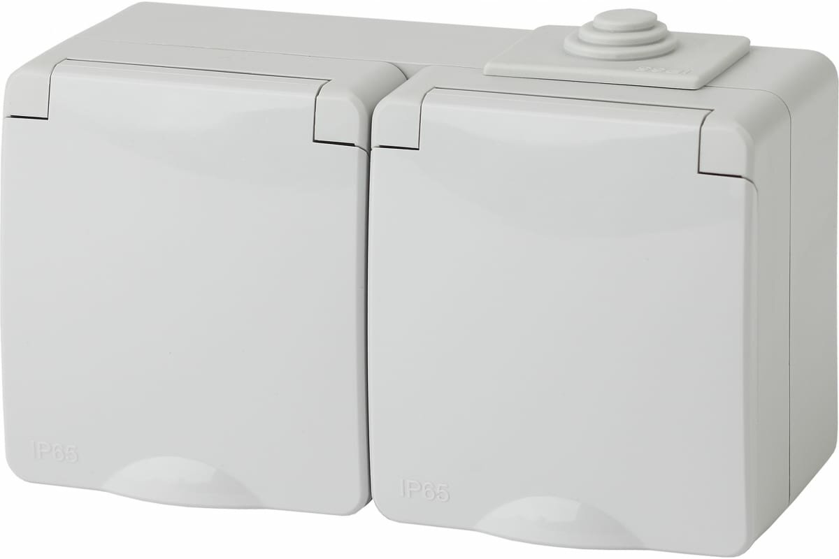 ЭРА 11260303 Розетка 2х2PE гориз. IP65, 16A250В, ОУ, серый Б0035991