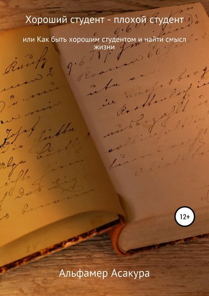 Хороший студент – плохой студент, или Как быть хорошим студентом и найти смысл жизни [Цифровая книга]