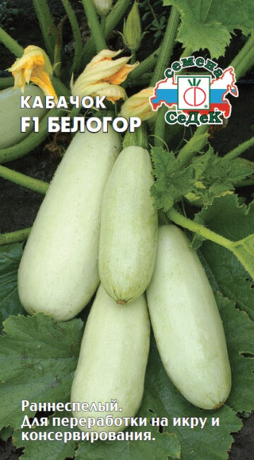 Семена Кабачок Белогор 2г Ранние (Седек)