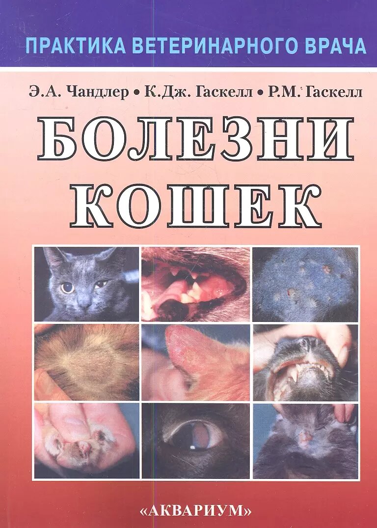 Болезни кошек