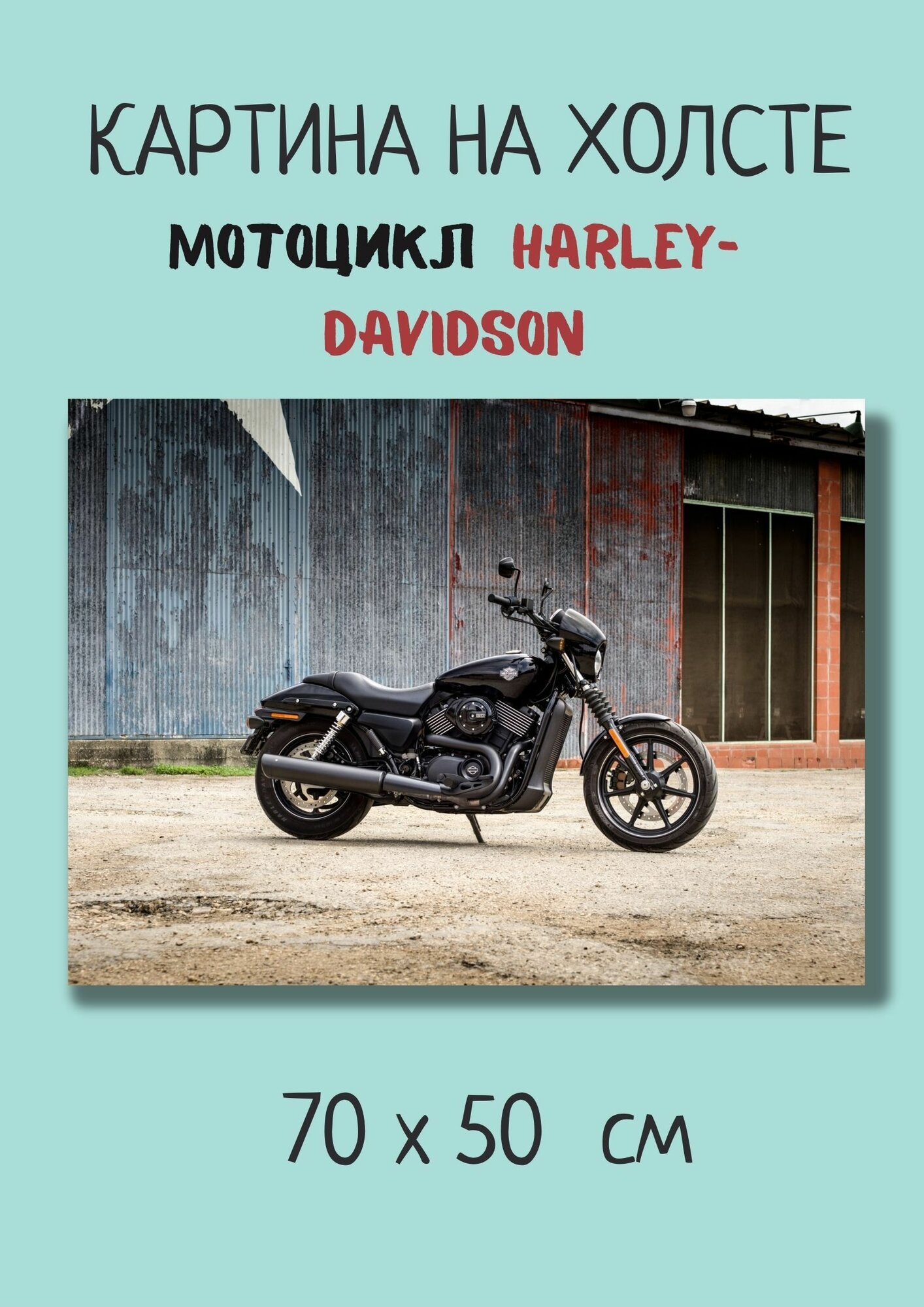 Фотокартина с красивым мотоциклом "Харлей Дэвидсон" 70х50 для интерьера