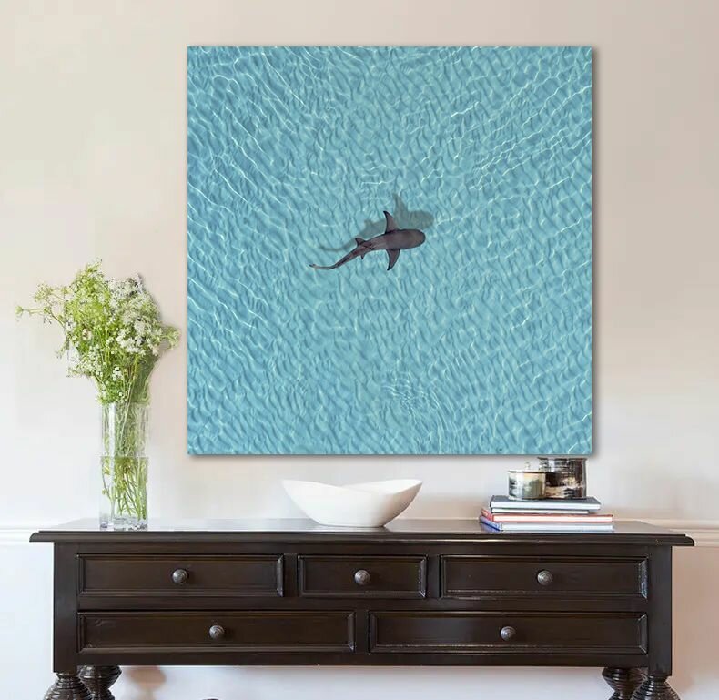 Картина ВсеКартины. тут "Акула", 40x40 см, на подрамнике, дерево, холст