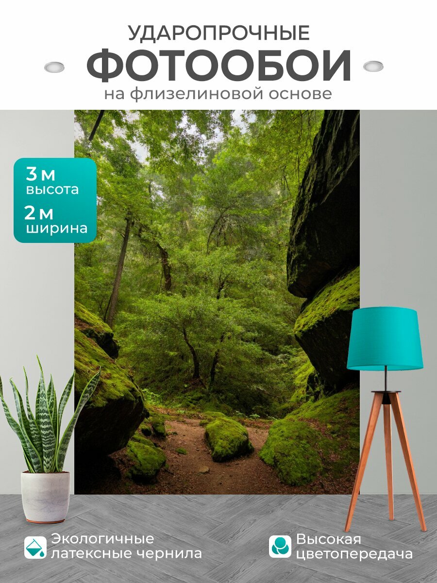Фотообои моющиеся ударопрочные "Лес с высокими скалами, обрамляющими лес" 200x300 см. флизелиновые на стену