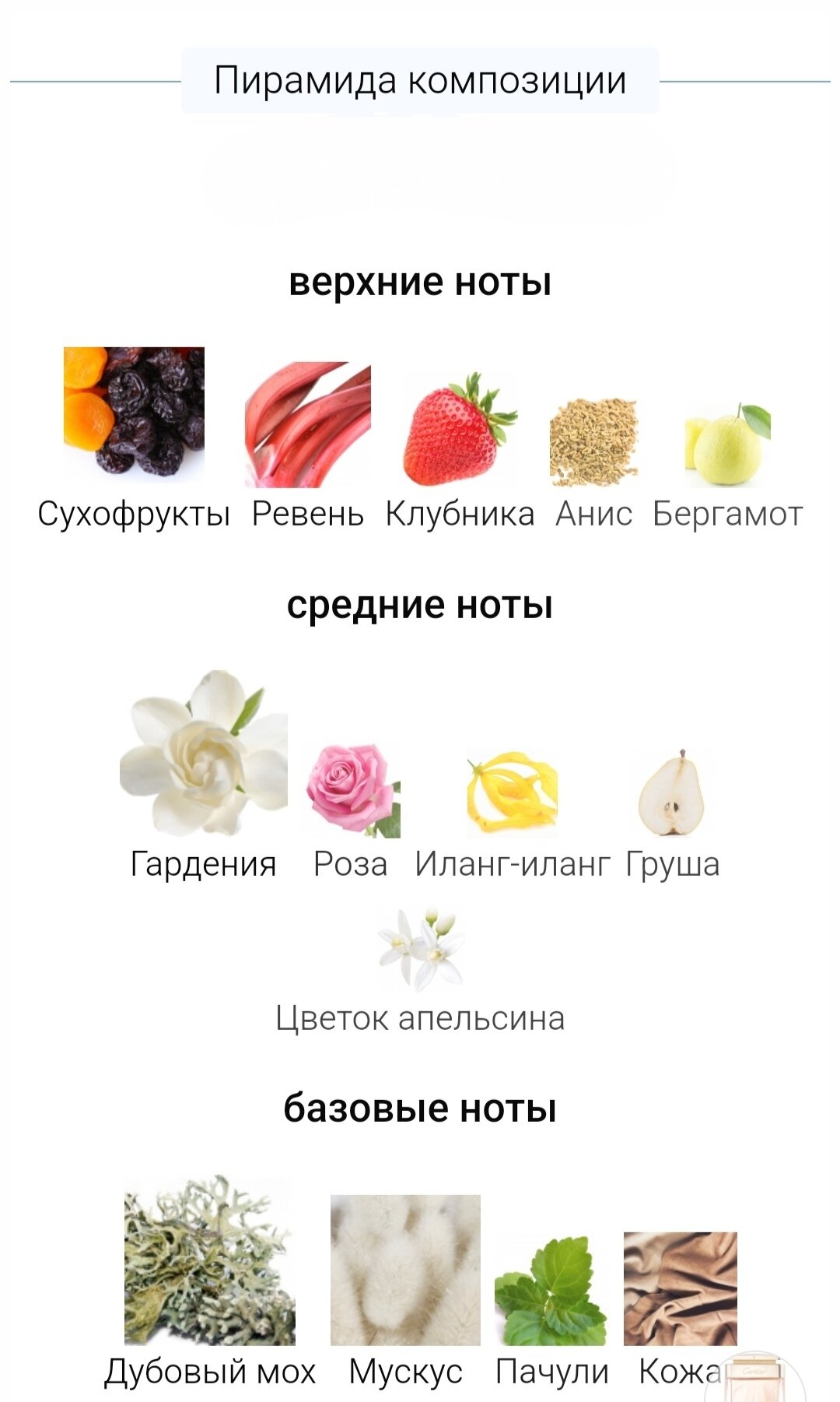 Духи ручной работы по мотивам 'La Panthere', Картье, для женщин. Lu Parfume — фото 1
