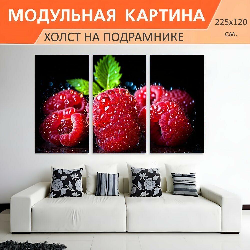 Модульная картина на холсте "Яркие спелые малинки, покрытые капельками воды, на фоне черного цвета. На ягодах видна текстура и." триптих на подрамнике 225х120 см. для интерьера