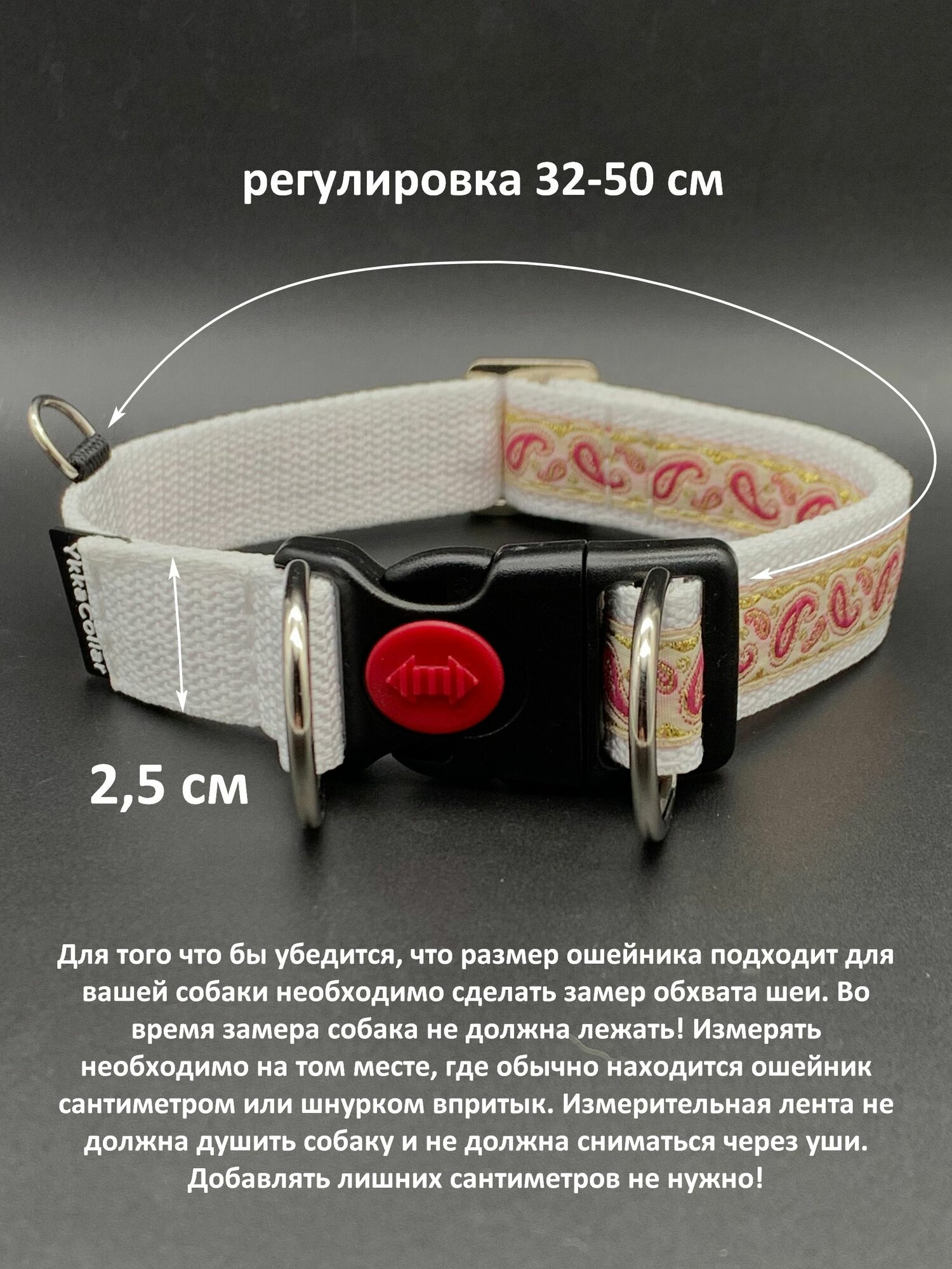 Ошейник на фастексе с регулировкой YkkaСollar для собаки, шириной 2,5 см на обхват шеи 32-50 см