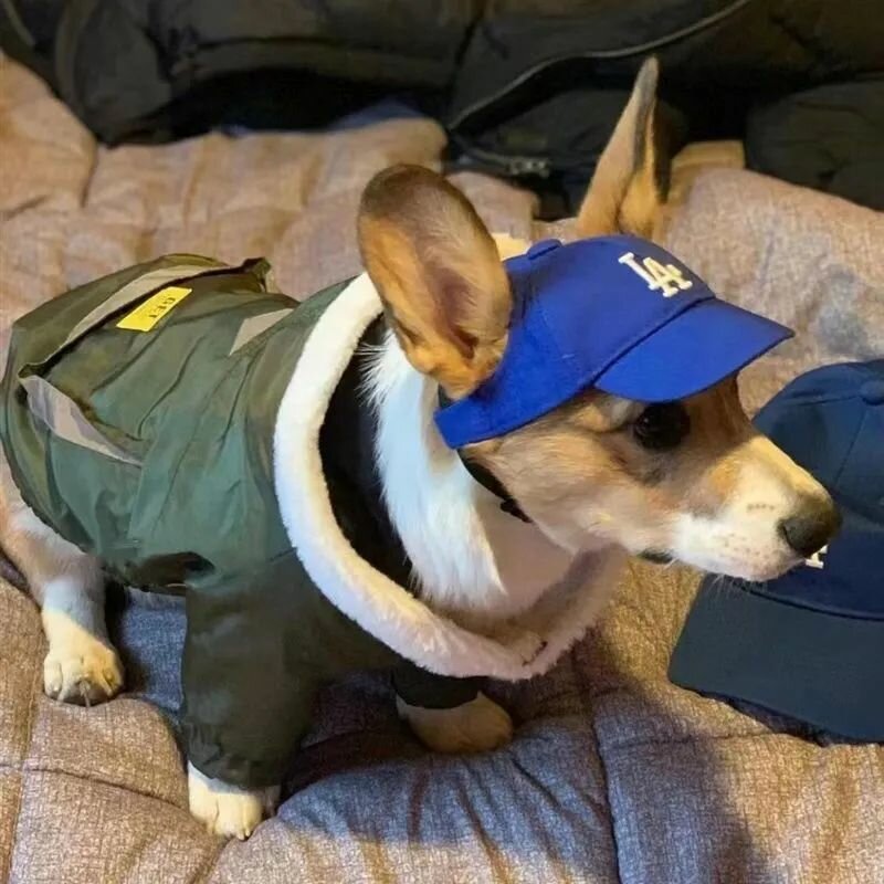 Бейсболка для кошек и собак Солнцезащитная шляпа Шляпа с утиным языком