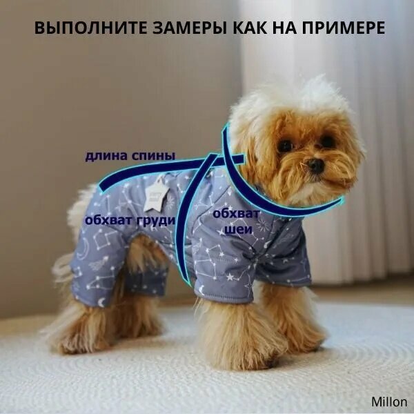 Одежда для животных — фото 1