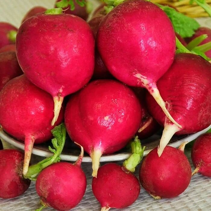 Коллекционные семена редиса Русский Размер розовый