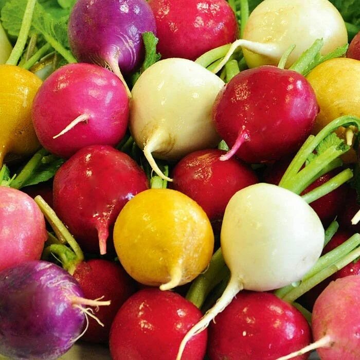 Коллекционные семена редиса Шесть цветов, смесь