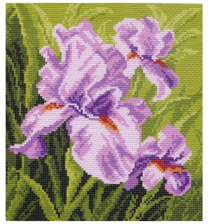 Рисунок на канве Матренин Посад "Ирис", 28x37 см