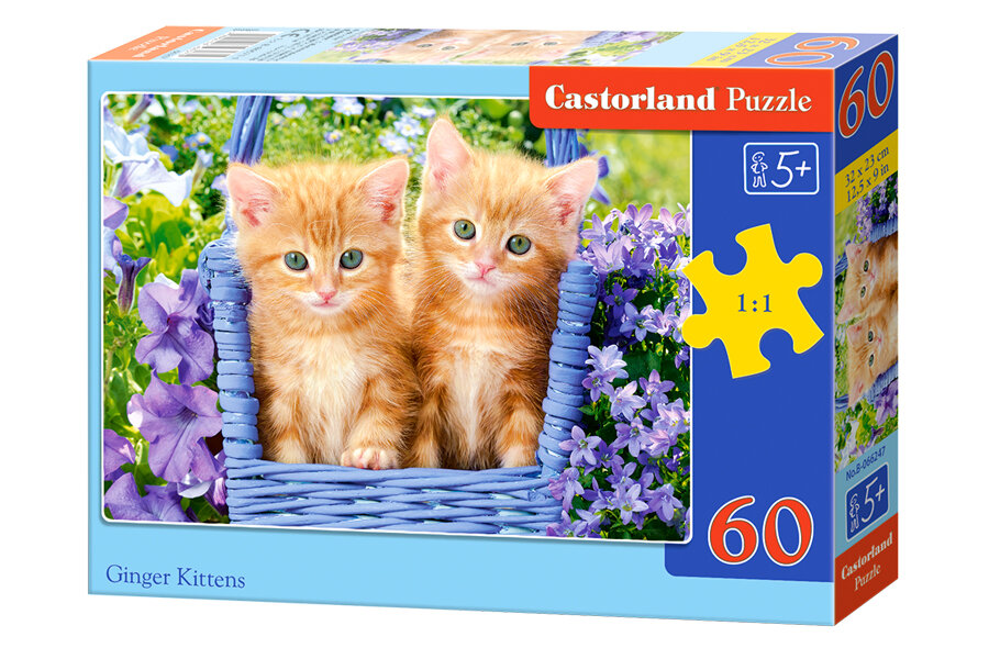 Castorland Пазл-midi Рыжие котята 60 элементов 6247/B5-066247 с 5 лет
