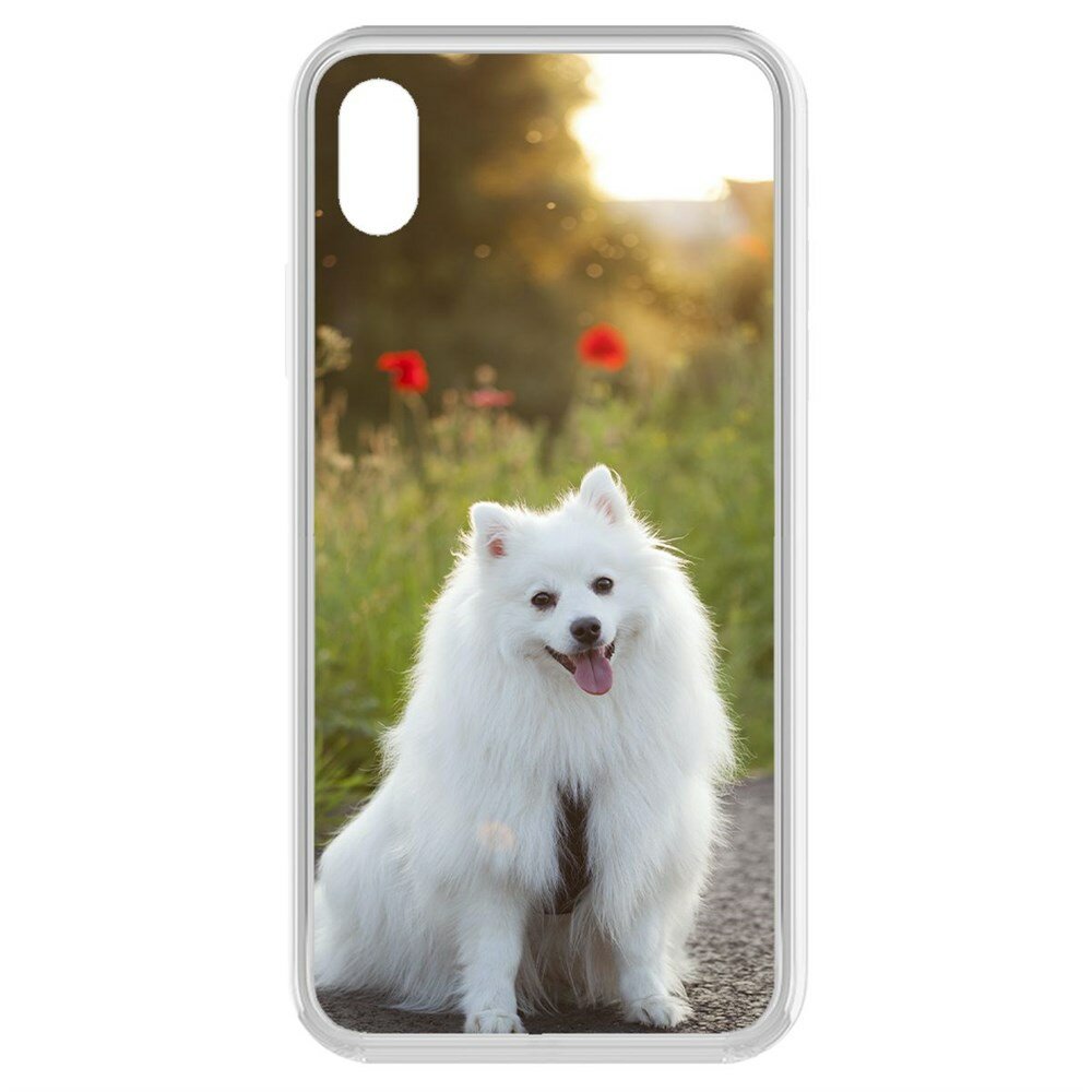Чехол-накладка Krutoff Clear Case Белый шпиц для iPhone XR, с рисунком, термопластичный полиуретан (TPU)