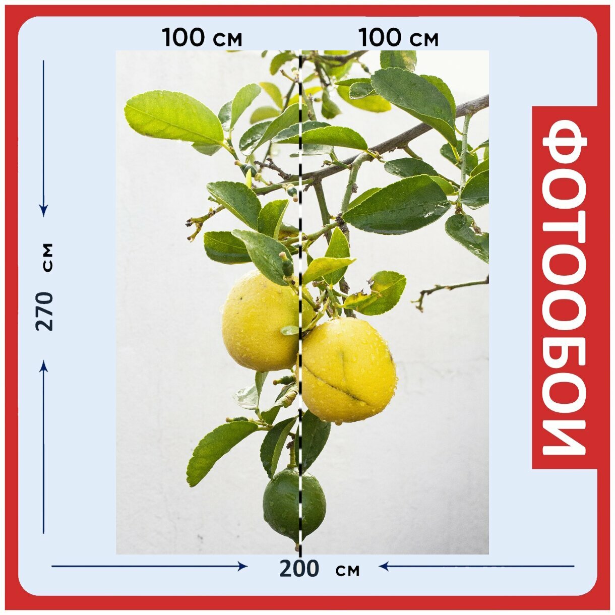 Фотообои "Лимон, цитрусовые, свежий" 200x270 см. флизелиновыена стену